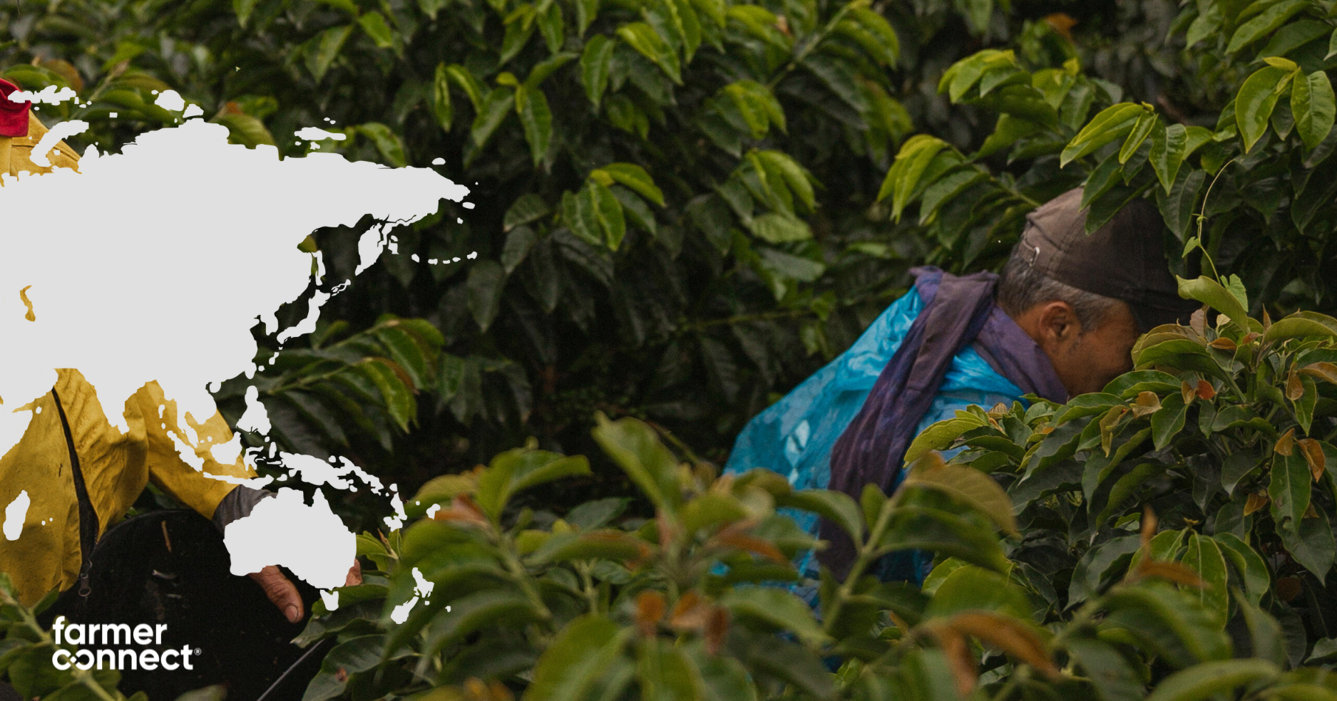 The Gateway To Compliance Heaven: Gateway Check